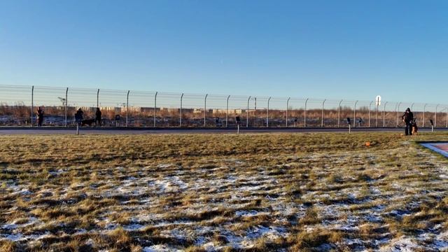 KARMA Team Carrera им №63. САНКТ-ПЕТЕРБУРГ 12 декабря`25 Моно немецких овчарок