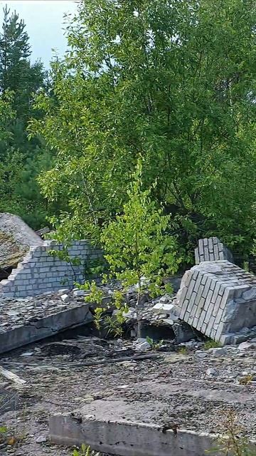 Прежде я не встречал настолько большую кучность заброшенных зданий #shorts #поход #север #заброшка