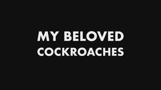 Фильм "Мои любимые тараканы"