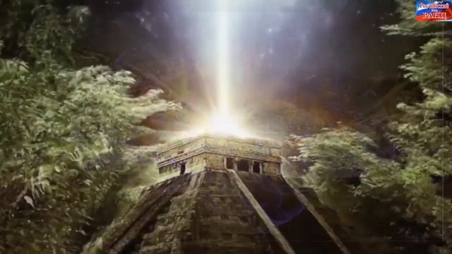 №1258 Основные принципы Метода RANC при Б.Паркинсона и других Хронических болезнях.