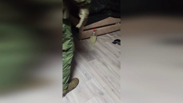 ОКОН ОМВД России по Тайшетскому району_декабрь 2025