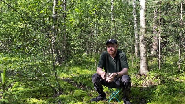 Можно ли добыть воду в лесу при помощи пакета, проверка приёмов выживания