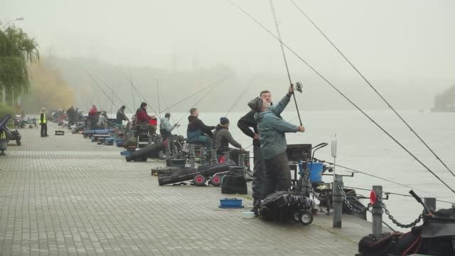 О главном. Выпуск 101