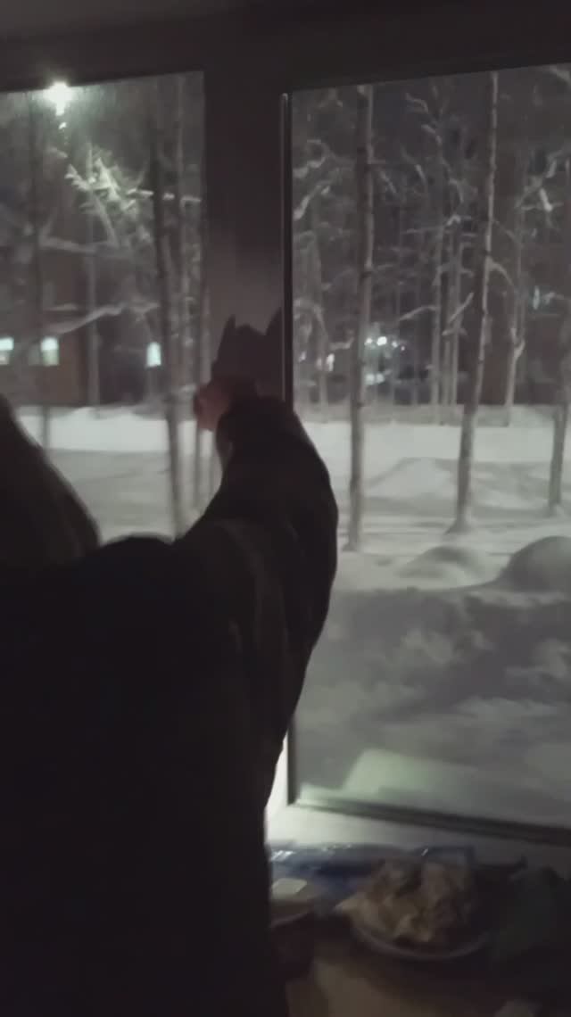 Бесхозная хата с открытыми окнами An abandoned flat with open windows