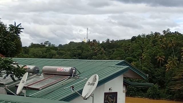 Гостиница в джунглях г.Канди над рекой в центре Шри-Ланки. Экспедиция МНШУ