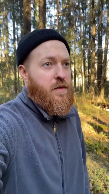 Внимание! Остерегайтесь лесных разбойников!  #shorts  #лес  #юмор