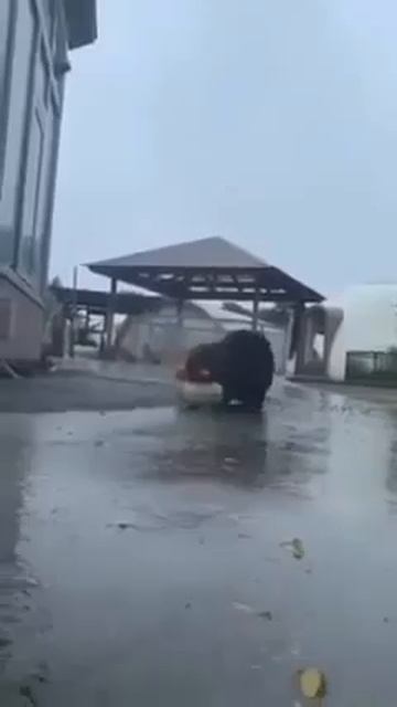 Зашел на склад