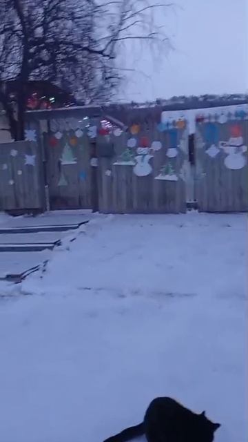 Участник 1 (Центральный район)