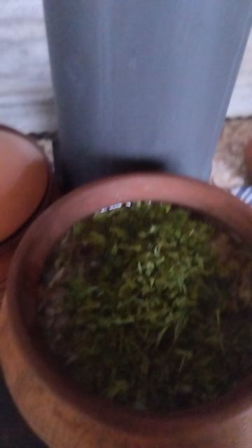 Готовлю на печке ши и запекаю крылышки на апельсиновых корказ