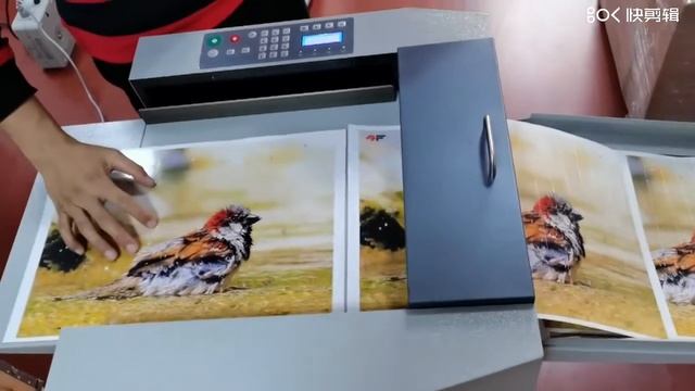 SunFung - нарезчик визиток