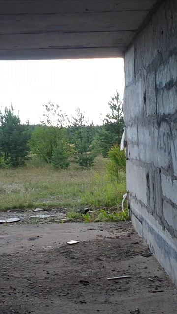 Прошлись по заброшенному военному аэродрому около Вещево  #заброшка #shorts #история #россия