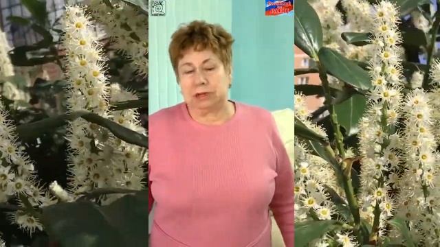 №1295. Российский Метод RANC и Боль в Спине.