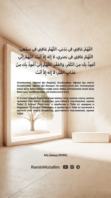 📖 Nº26 ДОСТОВЕРНЫЕ МОЛИТВЫ ПРОРОКА ﷺ