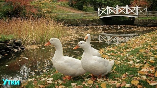 Ответы на Вопросы по Мистике от 17.12.25