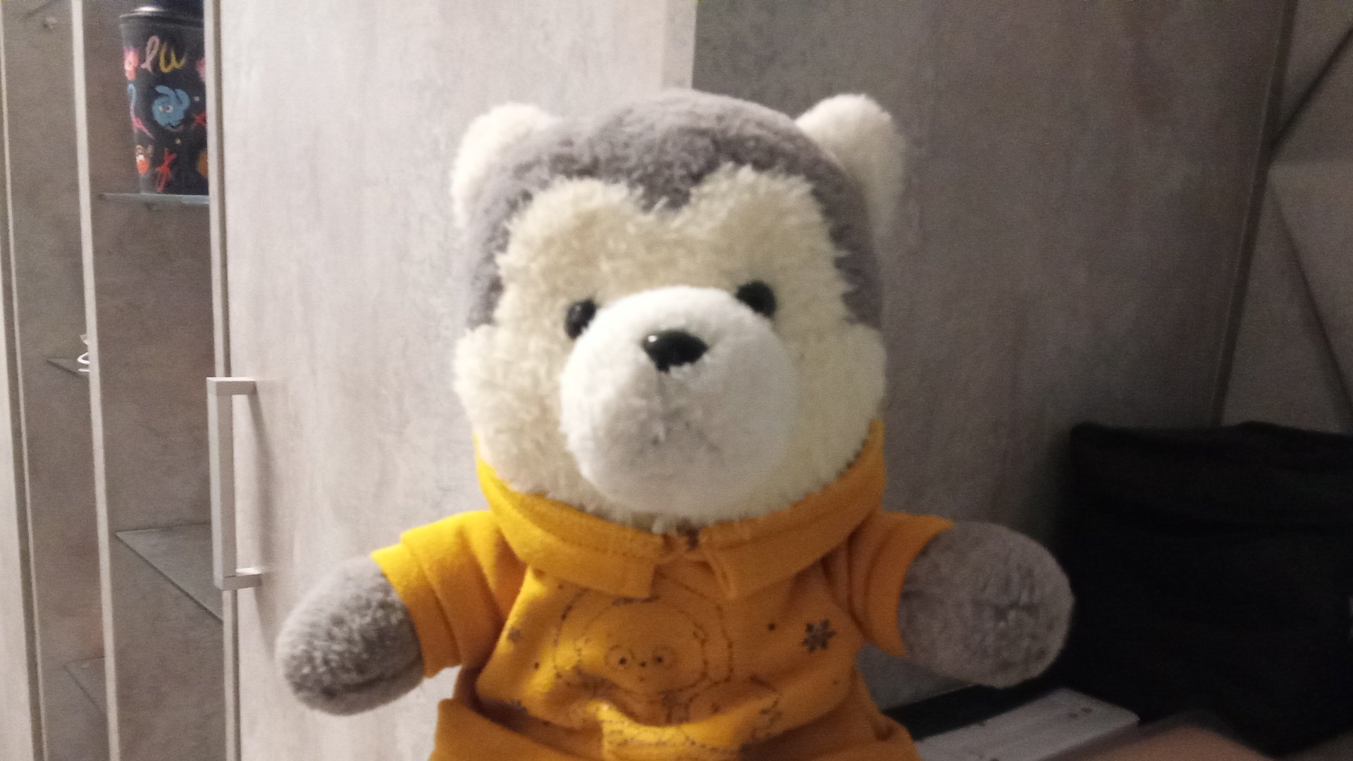 Влог с хаски 🐕