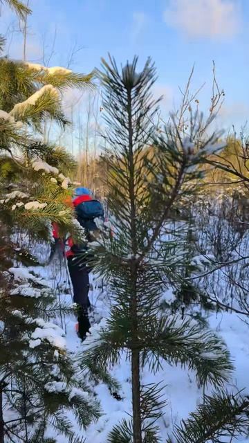 Первый снегоступинг этой зимы ❄😊❄