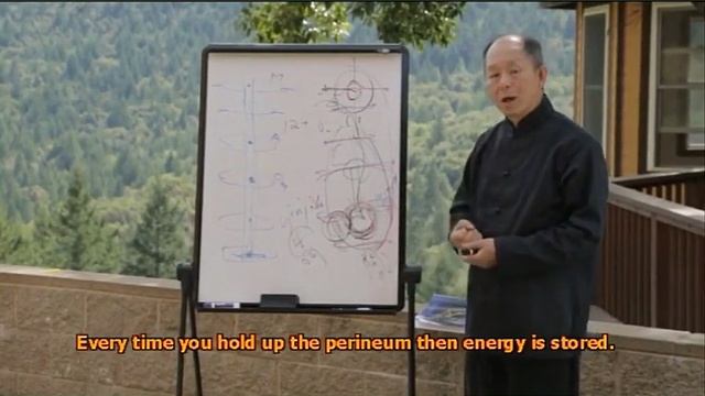 Боевой Цигун 10. Две камеры Ци человеческого тела Ян Цзюньмин