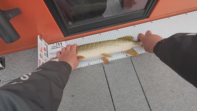 О главном. Выпуск 100