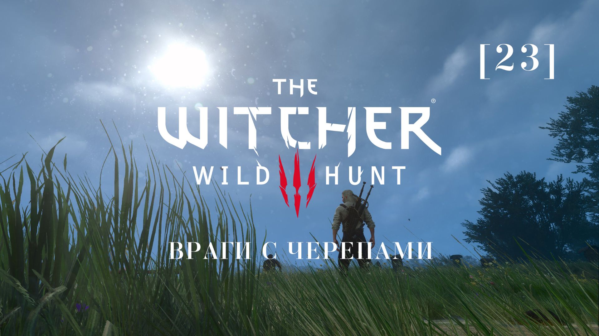Ведьмак 3: Дикая охота | 23 | Враги с черепами