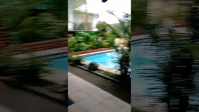 Джунгли и тропич. река из окна гостиницы в г.Канди, в центре Шри-Ланки. Экспедиция МНШУ