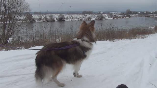 Луцино Лета  26-27.11.2022 1