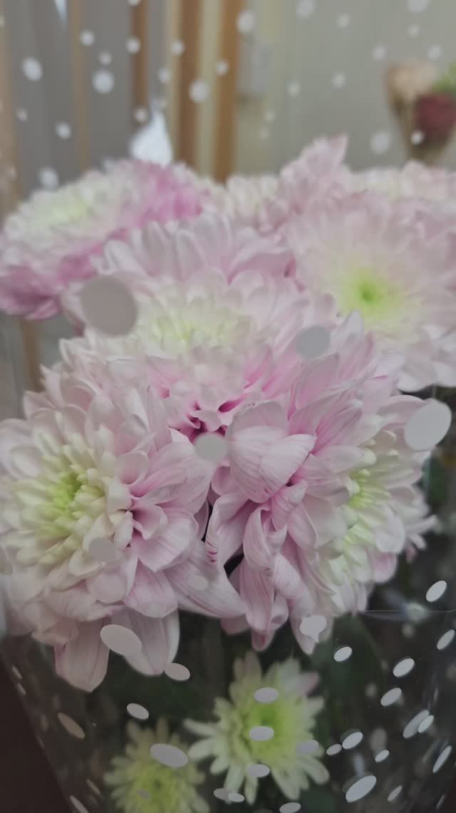 Академконцерт 15.12.2025