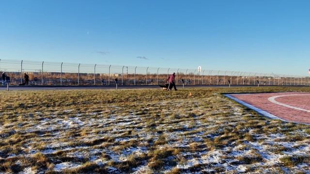 б/о Ирендорф ФРЭД им №85. САНКТ-ПЕТЕРБУРГ 12 декабря`25 Моно немецких овчарок