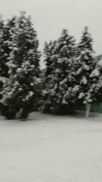 vk_20211208_154324_1