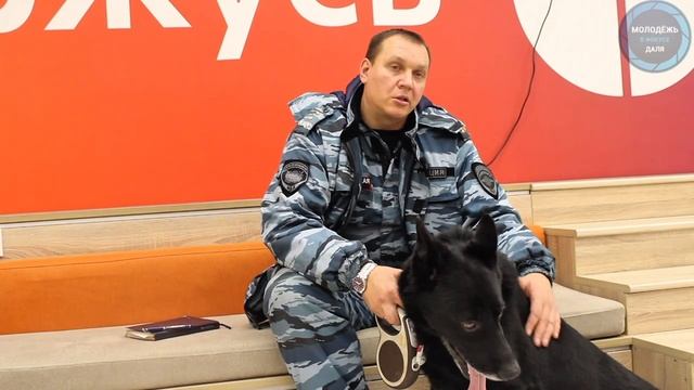 Интервью с кинологом: секреты дружбы человека и собаки!