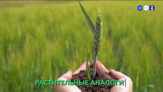 Россия мои горизонты18.12.25г.  Видеоролик № 1 об отрасли