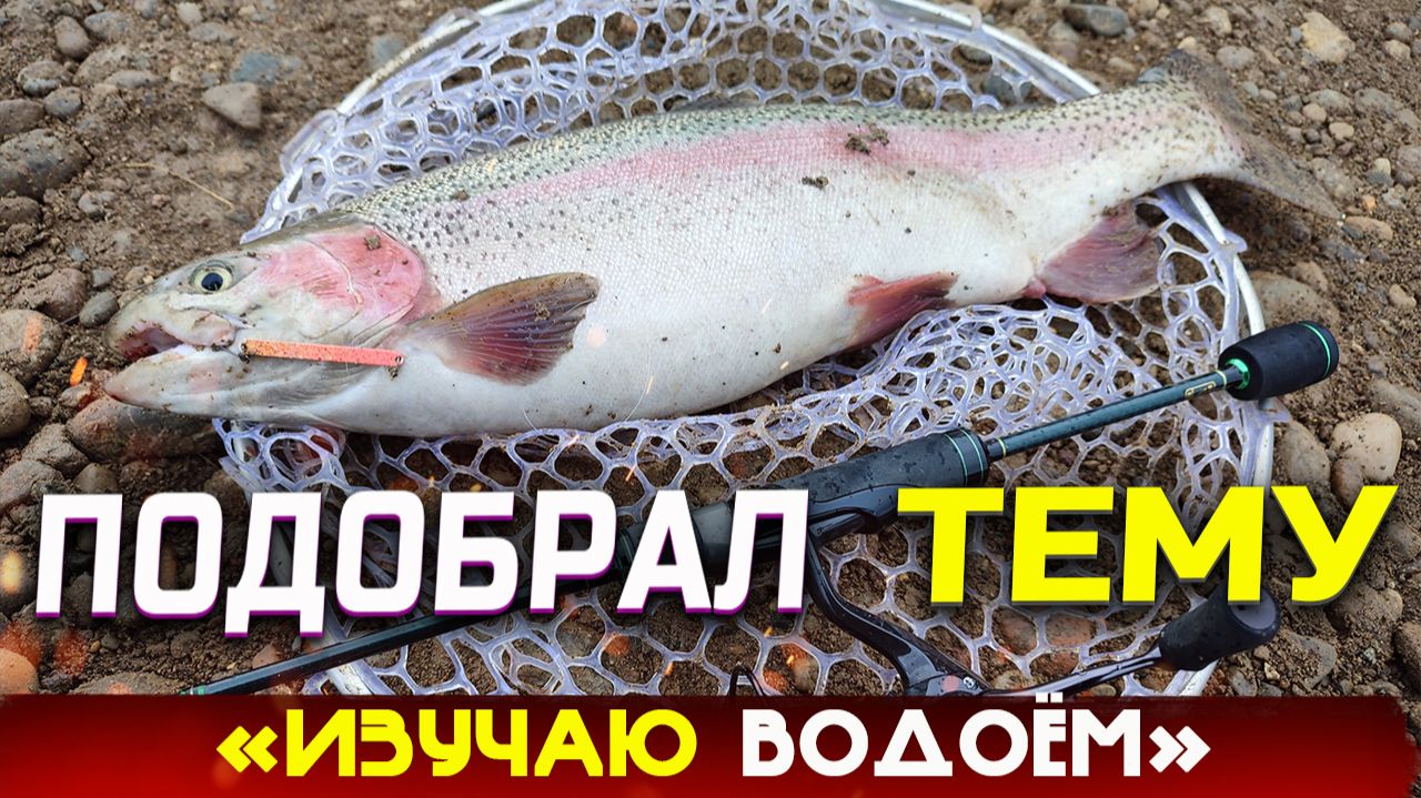 ФОРЕЛЕВАЯ РЫБАЛКА БЕЗ СЕКРЕТОВ!  Безлимит "Казачий стан". Изучаю водоём!