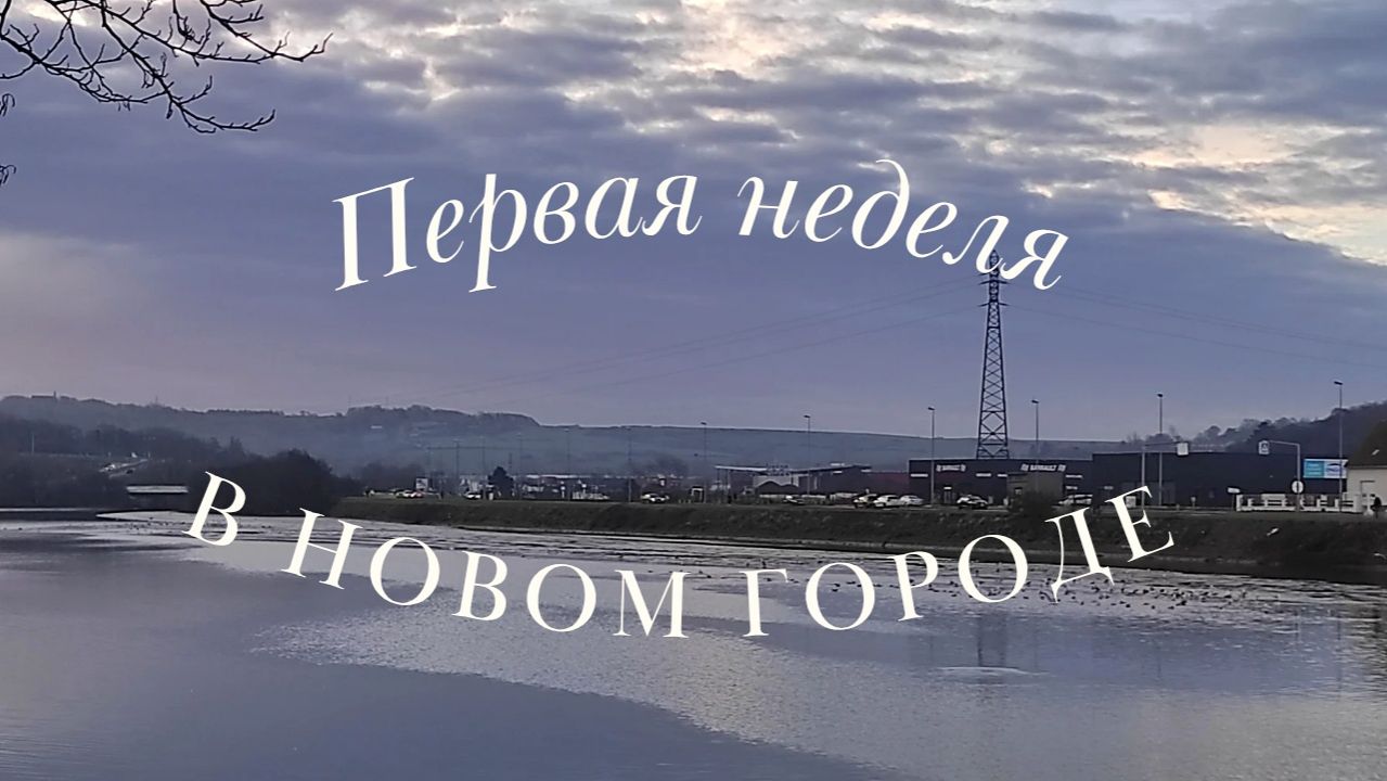 Первая неделя в новом городе 😆🥖🦆