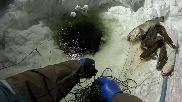 НАЛИМ ЗАШЕВЕЛИЛСЯ | ПЕРЕМЕТ | ПРОВЕРКА 17.12.2025