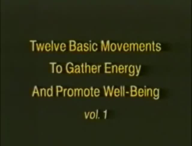 Двенадцать базовых движений