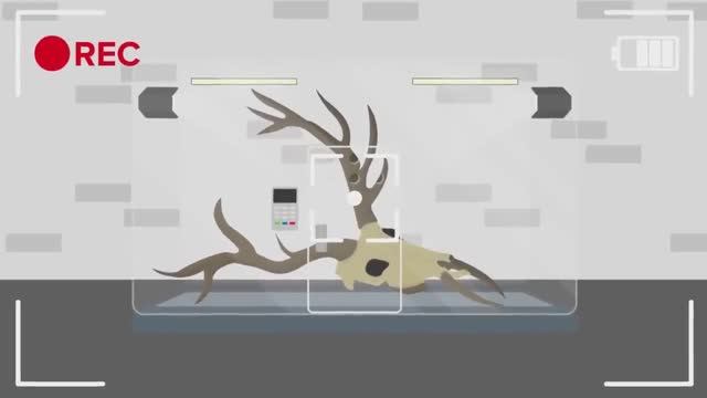 SCP-323 - Череп Вендиго (Объяснение SCP)