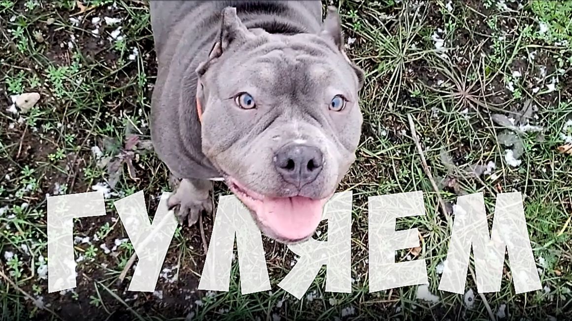 гуляем с Дусей