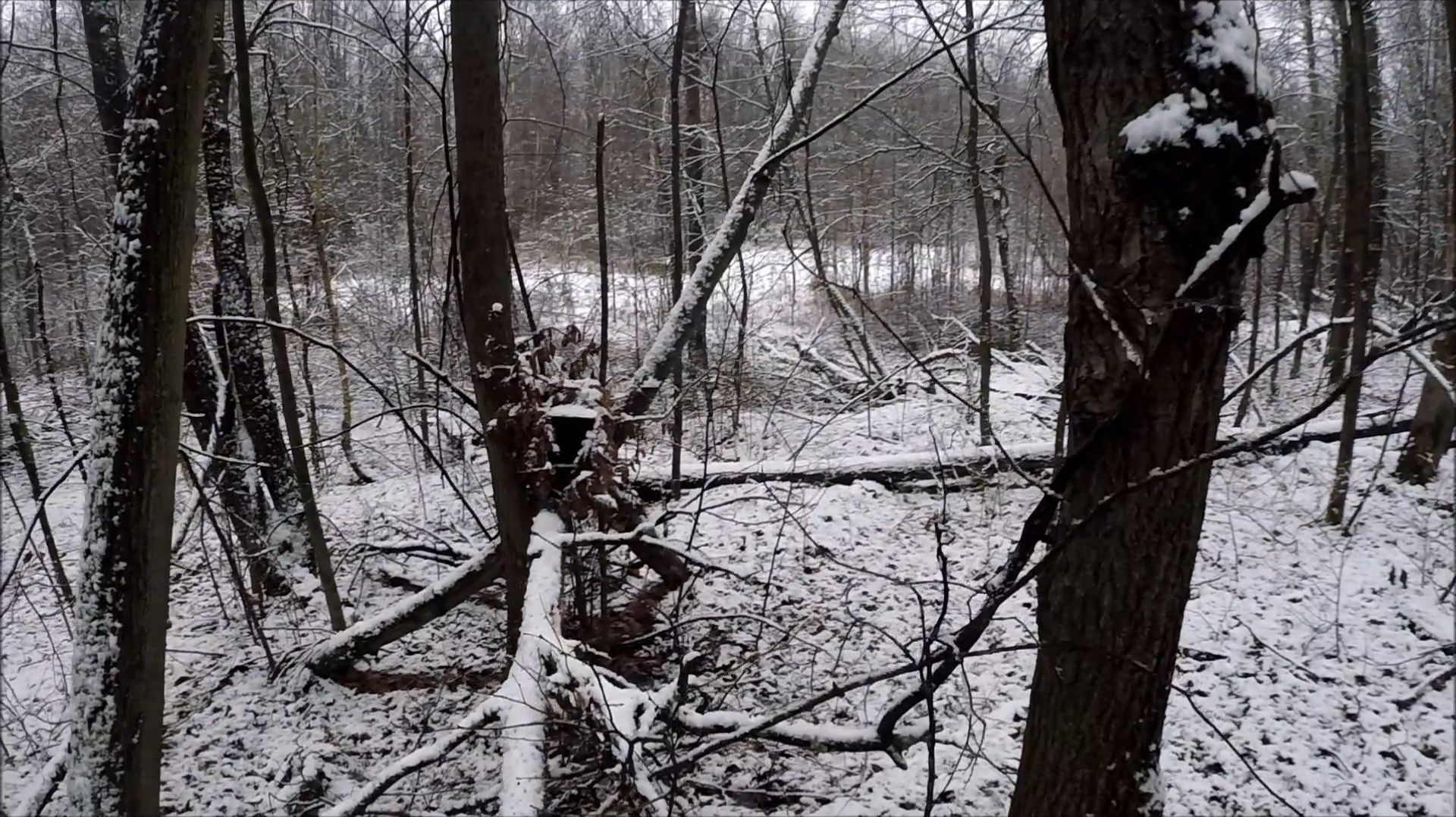 Охота на куницу. Проверка капканов на путике(Будни охотника и рыбака)