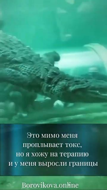 #абьюз #токсичность #границы #созависимость #зависимость #манипуляции #газлайтинг #обесценивание