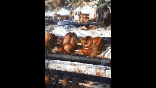 ГРИЛЬ В БАТУМИ.