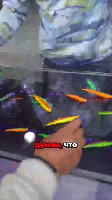 Тест на прочность_ приманка_ которую нельзя погнуть!