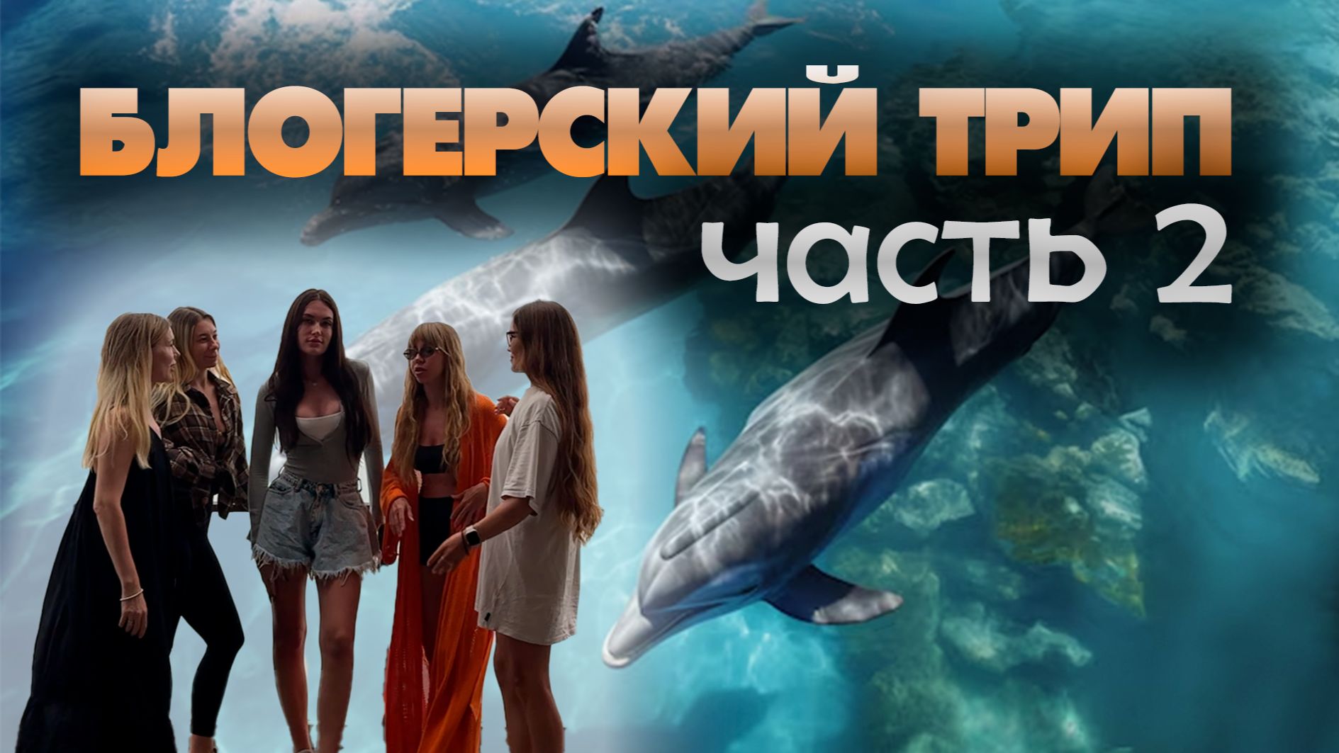 Блогерский трип по Бали 2025|ЧАСТЬ 2: дельфины, рест в гольф-поле, рисовые поля, волшебное дерево