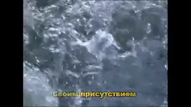 Тебе поют Святый