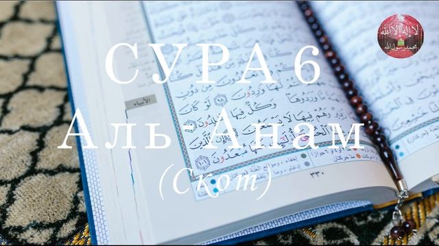 Сура 6 Аль-Анам (Скот) || Бадр Аль Турки