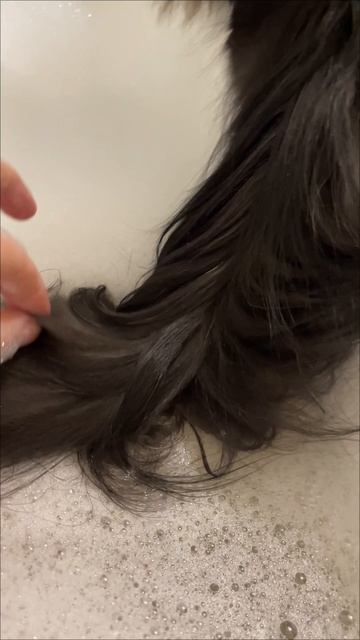 Кто полощет свой хвост у меня в ванне?