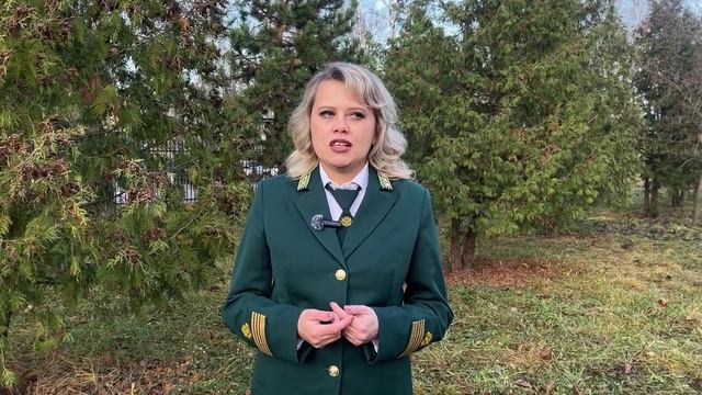 Начальник сектора государственной экспертизы проектов освоения лесов Ирина Чимирис