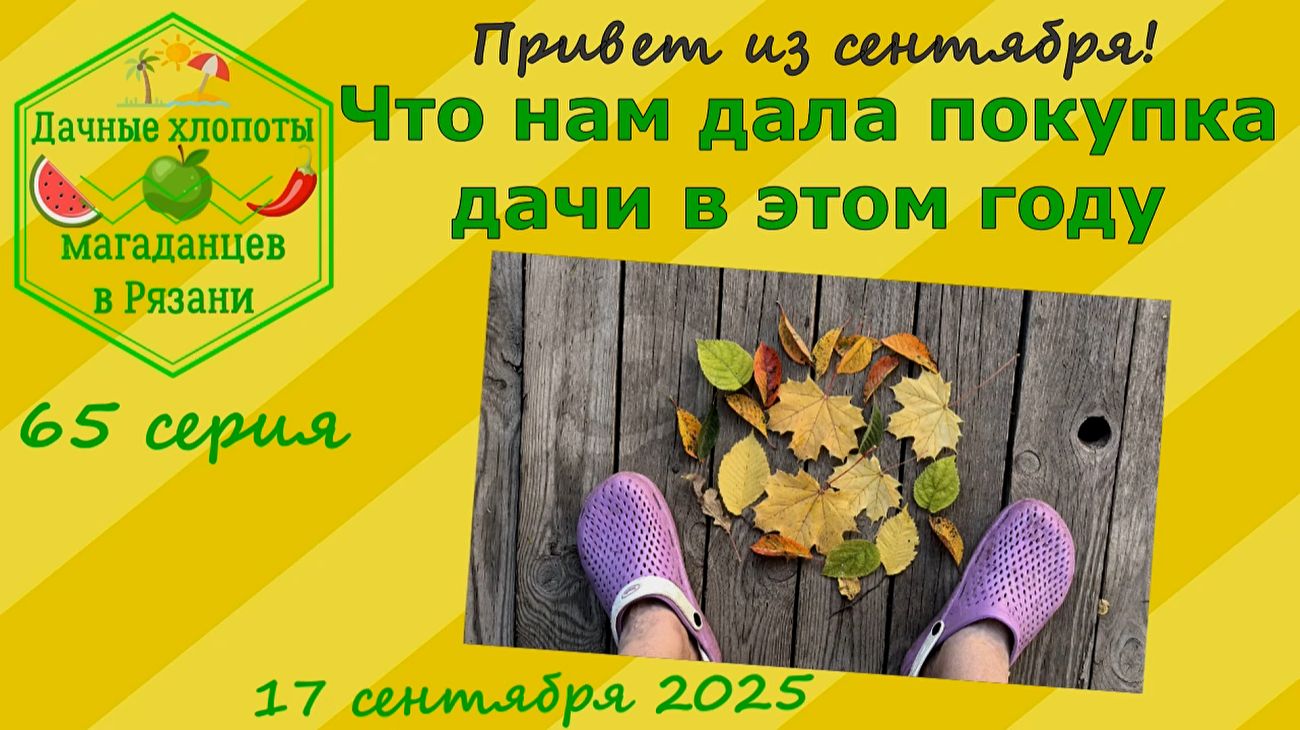 Что нам дала покупка дачи в этом году.Привет из сентября! 65 серия дачных хлопот.Магаданцы в Рязани