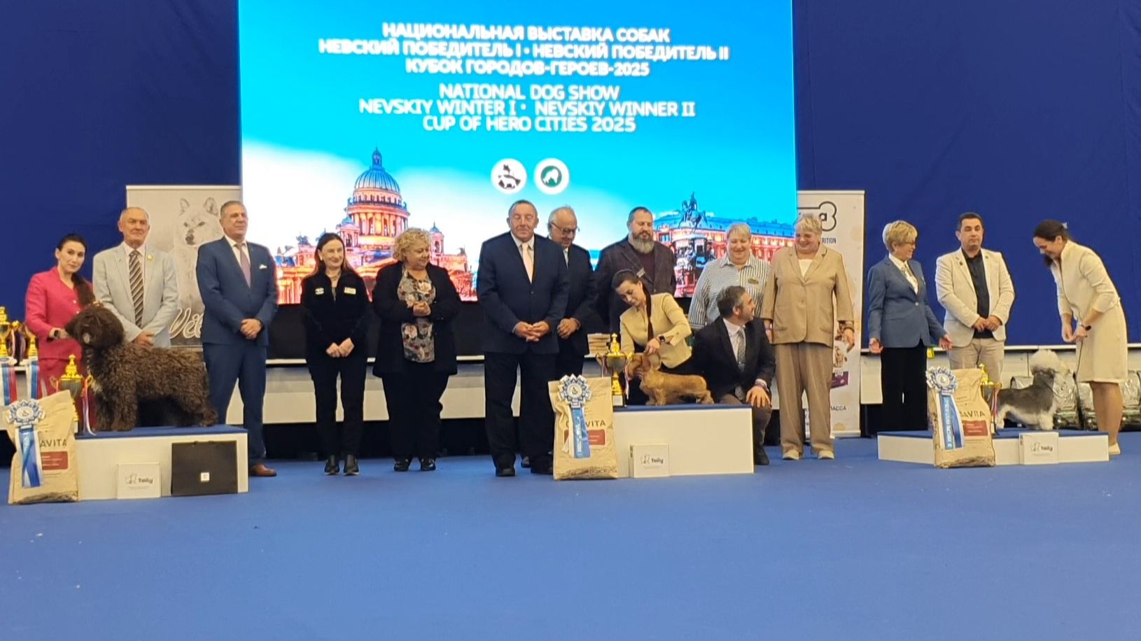 13.12.2025, СПб. СПбГКСС-2 (РКФ, РФСС). Рейтинговая выставка "НЕВСКИЙ ПОБЕДИТЕЛЬ-2025-1" (САС, ЧРКФ)