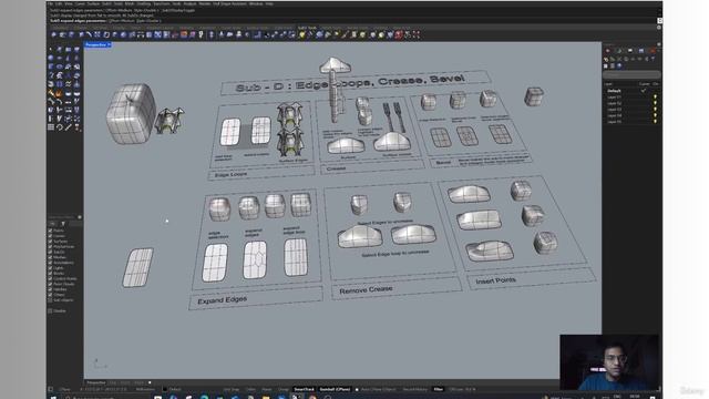 15 - Rhino SubD Expand Edges Remove Crease Insert Point