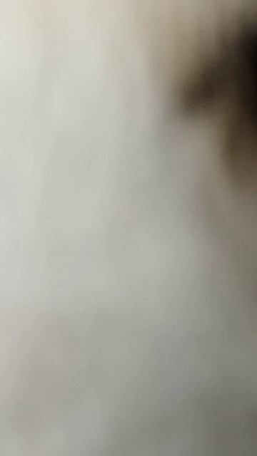 патапата Юз белка 2 часть.mp4