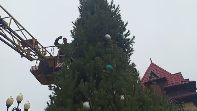 В Ейске нарядили елку в центре города